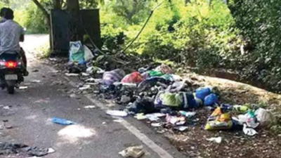 Goa waste management corporation directs local bodies to lift garbage ...