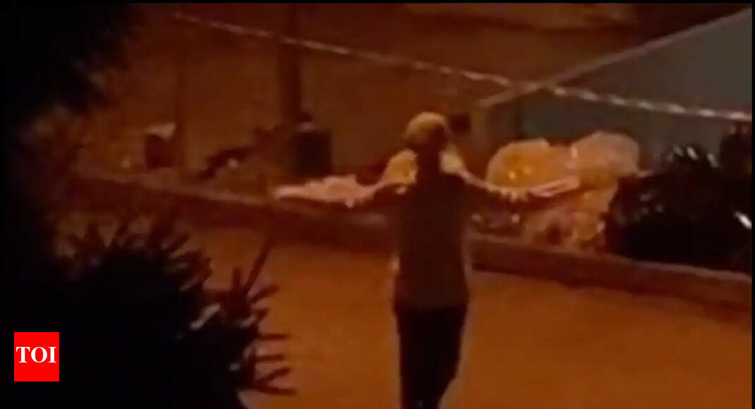 The Puzzling Mystery of the Serbian Dancing Lady: Is She Real or Just a ...