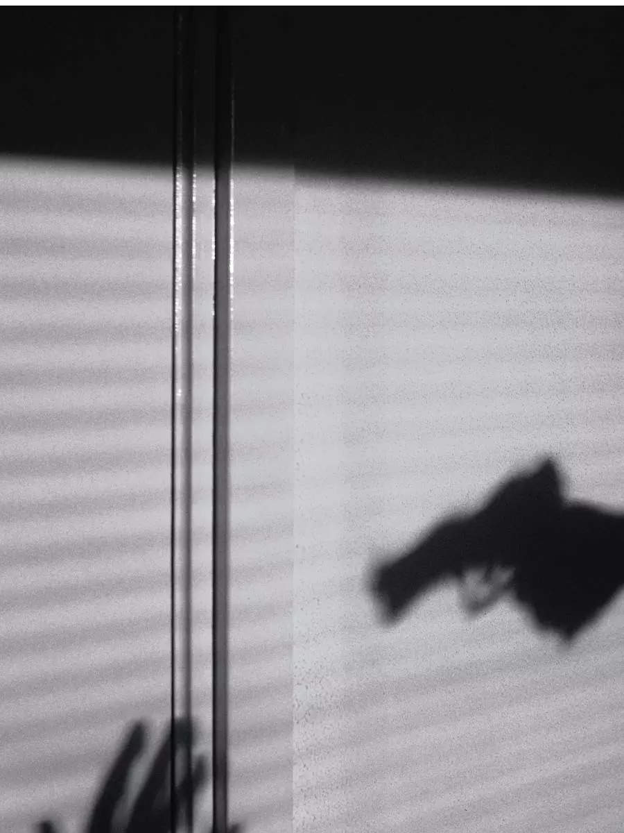 Top 9 Countries With The Highest Crime Rates In The World Times Of India
