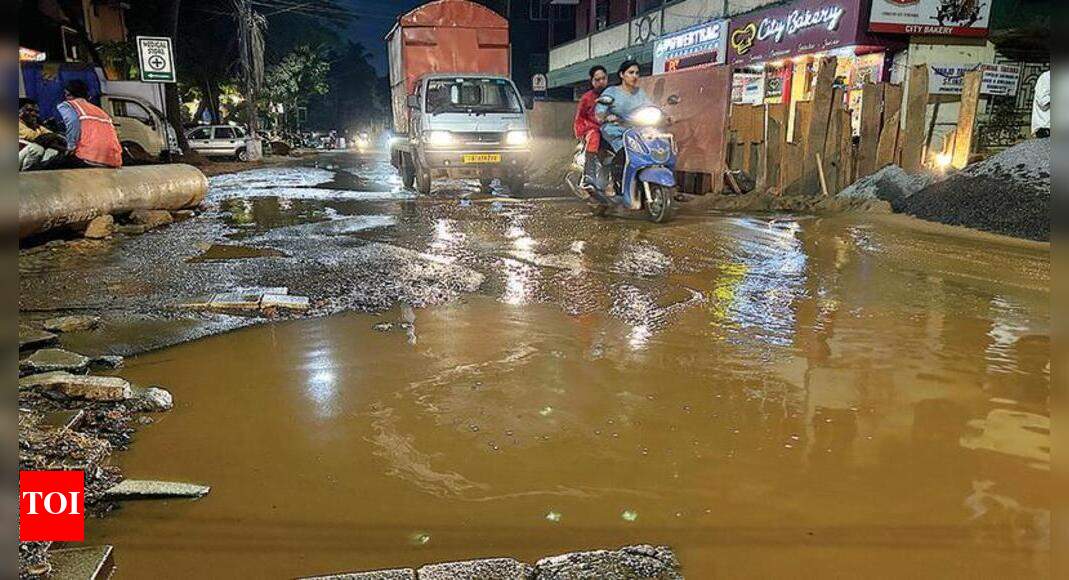 Sewage in homes, official action is to point fingers | Goa News - Times ...