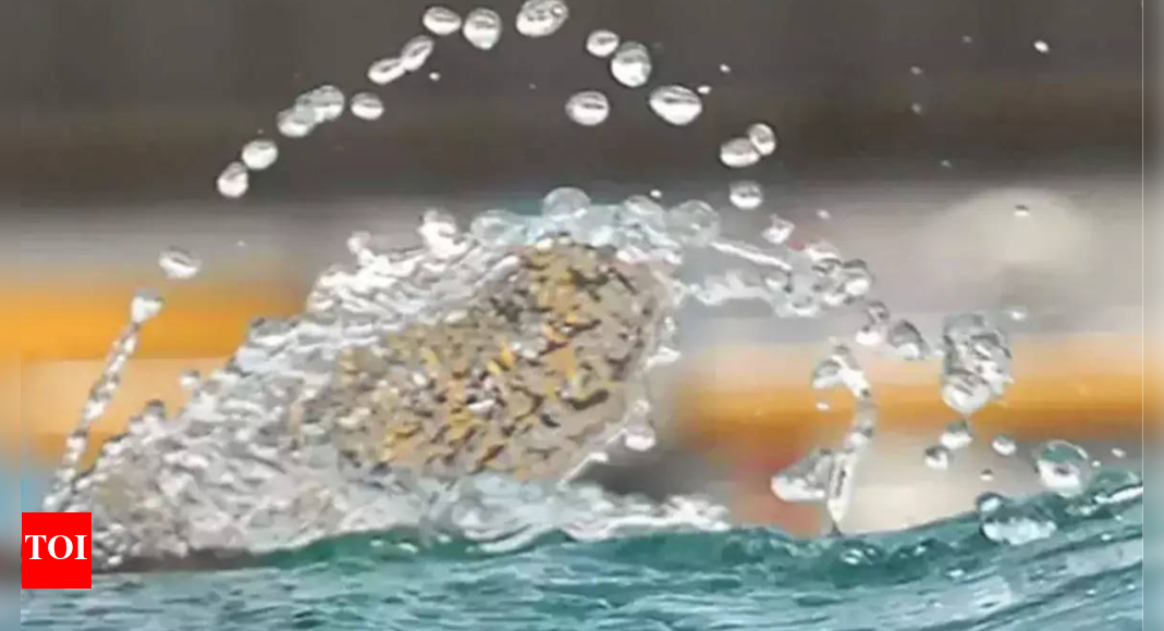 Pune: Relief for Manjari residents as water scheme gets operational | Pune News - Times of India