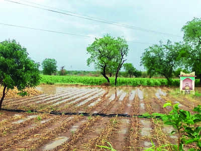 One Killed By Lightning, Rainfall Damages Crops | Nashik News - Times ...