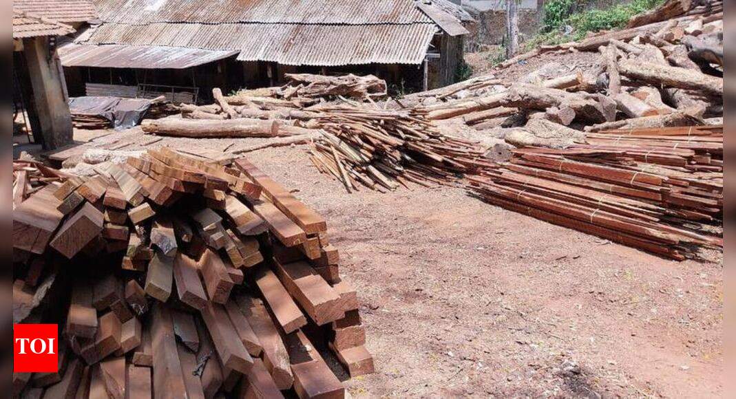 Tree felling: Congress presses for probe into Tawadkar’s role | Goa ...