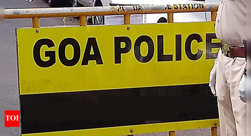 Drug raid in Goa's Guirim, Kerala artist nabbed | Goa News - Times of India