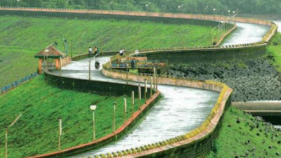 Goa: Anjunem water levels at 18%; enough for 45 days, says WRD | Goa ...