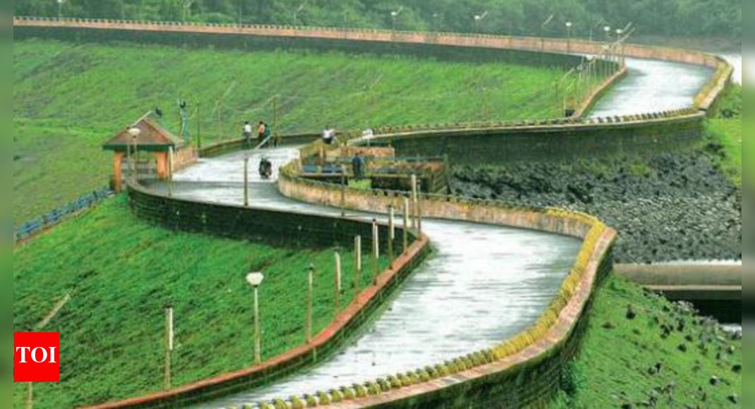 Goa: Anjunem water levels at 18%; enough for 45 days, says WRD | Goa ...