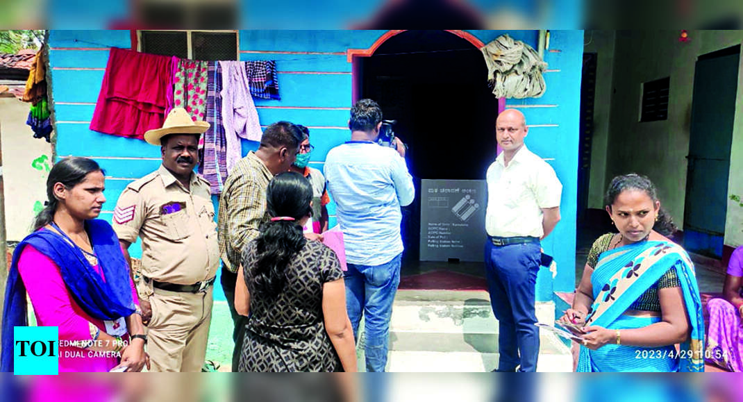 Vote From Home: Mys Dist Has Achieved 92% Success | Mysuru News - Times of India