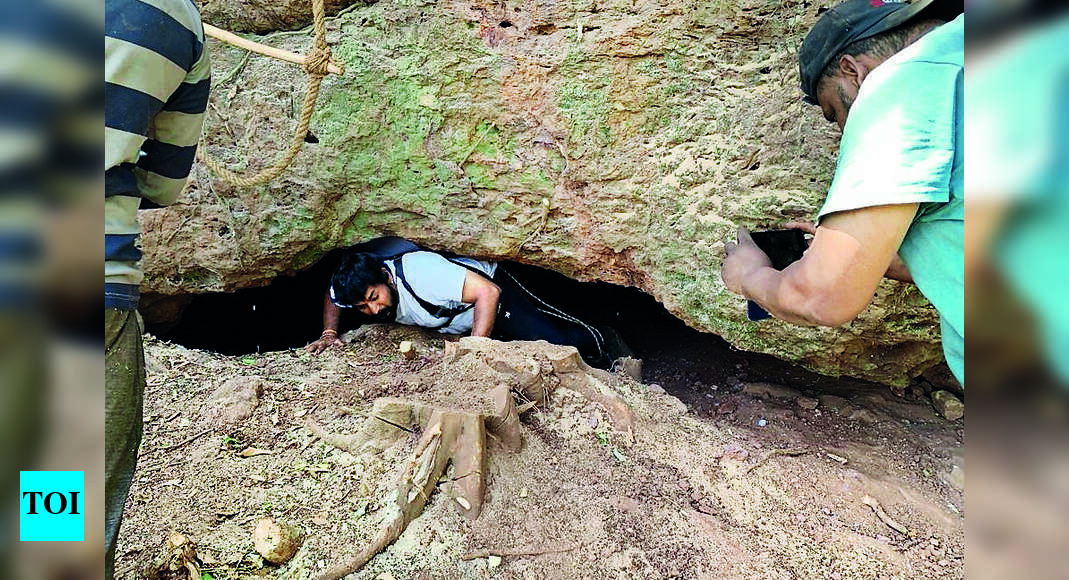 Pawangad: Historians Discover Man-made Cave In Grove At Foothills Of ...