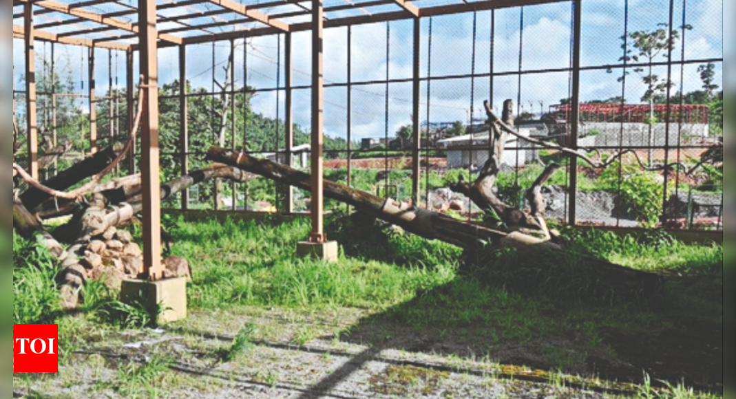 Bringing Fun And Exercise To Zoo To Keep Captive Animals Active | Kochi ...