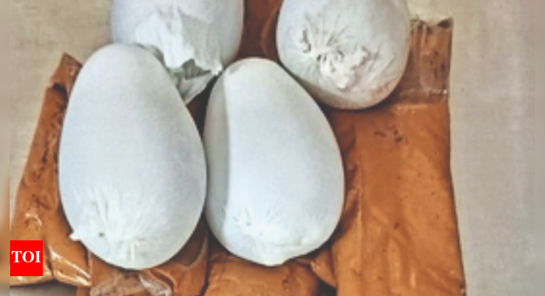 Customs, Dri Seize 3kg Of Gold At Kochi Airport | Kochi News - Times of ...