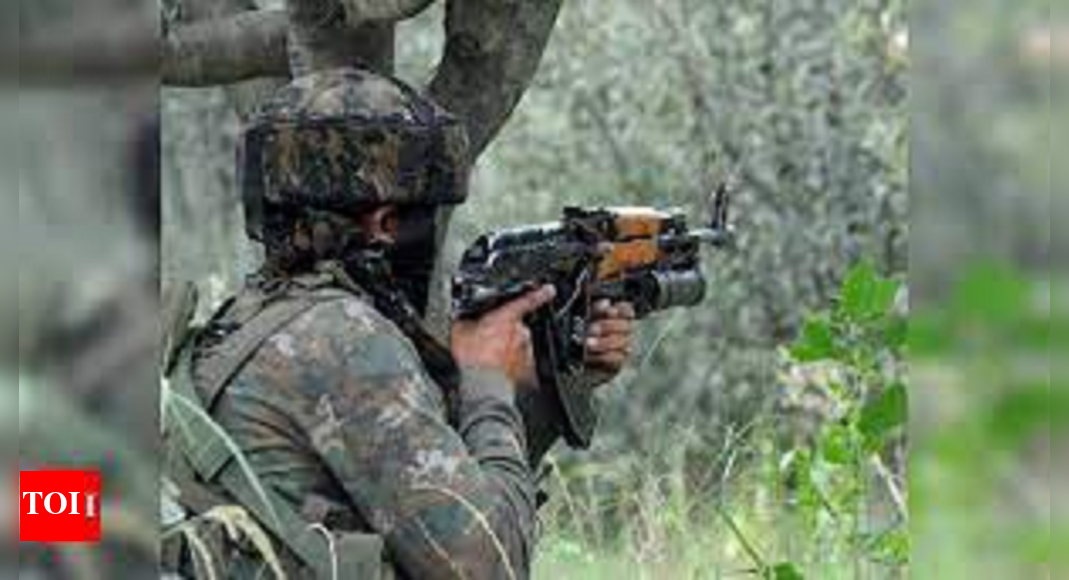 2 Lashkar-e-Taiba terrorists killed in Jammu and Kashmir | Srinagar News - Times of India