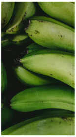 Mughlai Fish Curry Recipe: How to Make Mughlai Fish Curry Recipe ...