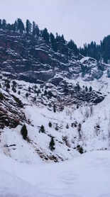 Jatinga Valley, a mysterious places in Assam where birds commit ‘mass ...