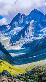 Jatinga Valley, a mysterious places in Assam where birds commit ‘mass ...