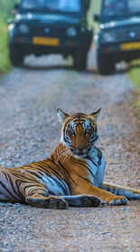 IndiGo Faces System Outage: Passengers affected, flight delays, long ...