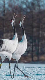 Anupgarh Fort, Rajasthan | Times of India Travel