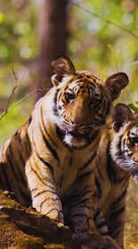 The haunting tale of Putul Bari in Kolkata | Times of India Travel