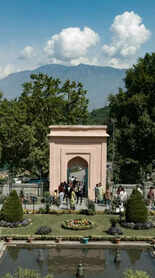 Are we losing Mangar Bani, India's oldest archaeological site? | Times ...