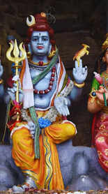 Are we losing Mangar Bani, India's oldest archaeological site? | Times ...