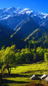 Meet thaipo, the bigger version of momo, India - Times of India Travel