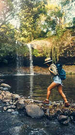 Anant Ambani Vantara Animal Zoo: All about Vantara, the 3000-acre ...