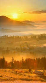 All about Sinauli, India’s largest and 4000-year-old burial site ...