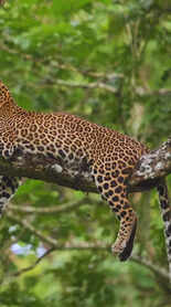 Waterfall in Rawatbhata: Rajasthan’s best kept secret: Chuliya ...