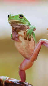 Waterfall in Rawatbhata: Rajasthan’s best kept secret: Chuliya ...