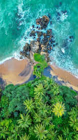 Anant Ambani Vantara Animal Zoo: All about Vantara, the 3000-acre ...