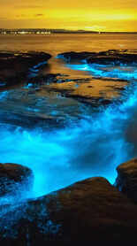Did Lemuria, the lost continent, ever exist?, World - Times of India Travel