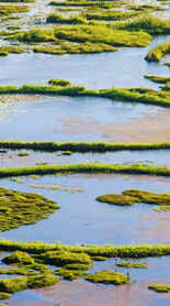 All about Sinauli, India’s largest and 4000-year-old burial site ...