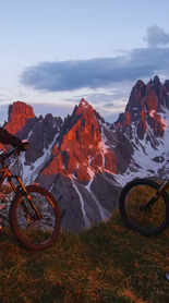 Shetphal Village: A place where cobras and humans live together as a ...