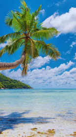 Devmali Village: Rajasthan’s Devmali is India’s Best Tourist Village ...