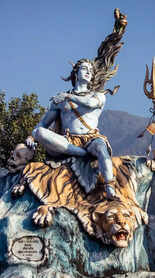 Shetphal Village: A place where cobras and humans live together as a ...