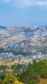 Shetphal Village: A place where cobras and humans live together as a ...