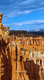 Anant Ambani Vantara Animal Zoo: All about Vantara, the 3000-acre ...