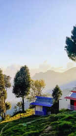 Shetphal Village: A place where cobras and humans live together as a ...