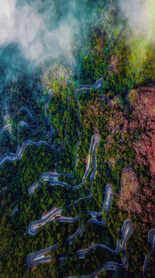 Golden Spoon, Andaman And Nicobar Islands - Times of India Travel