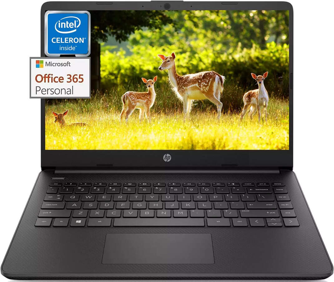 HP Stream 14 Laptop Intel Celeron N4120/16GB/64GB Emmc/Windows 11 Price ...