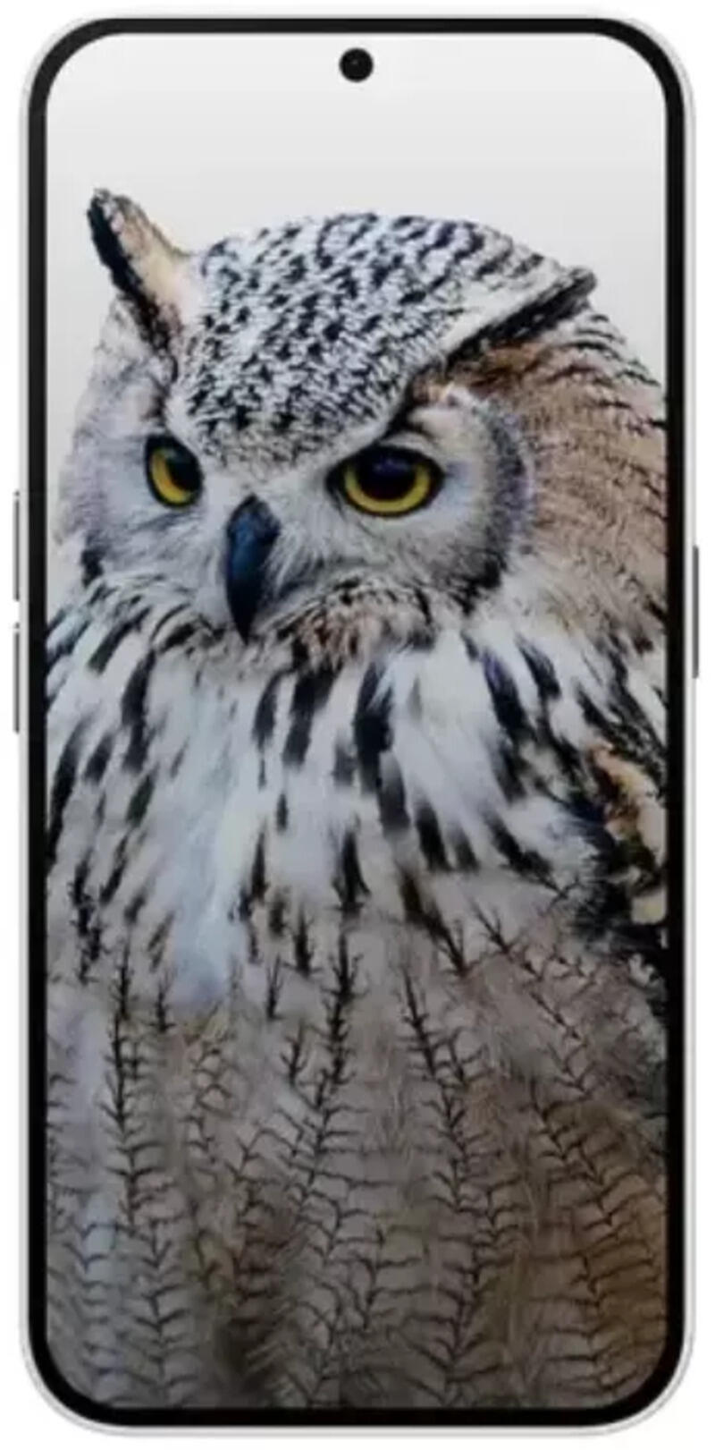 Nothing Phone (3a) 5G Expected Price, Full Specs & Release Date (25 Feb 2025) at Gadgets Now