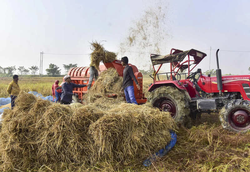 India looks to leverage AI to boost farm productivity and support farmers