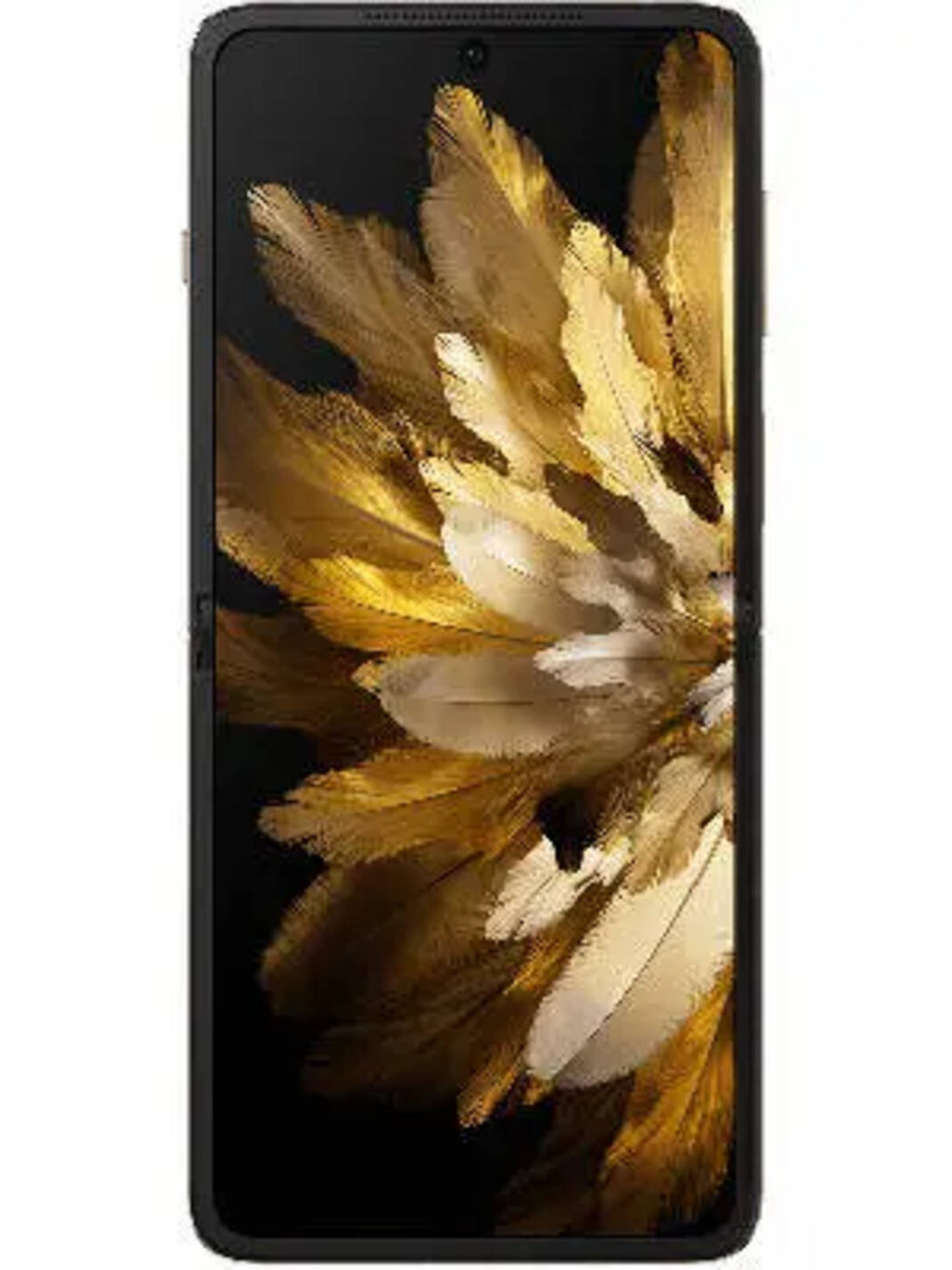OPPO Find N3 Flip 5G (256 GB Storage, 50 MP Camera) Price and features