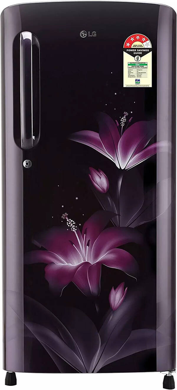 LG 190 L 4 Star Direct-Cool Single-Door Refrigerator (GL-B201APGX ...