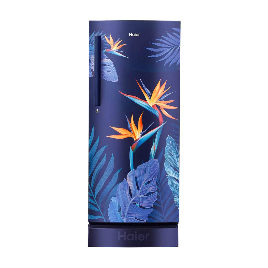 Haier Single Door 220 Litres 3 Star Refrigerator HRD-2203PMC: Price ...
