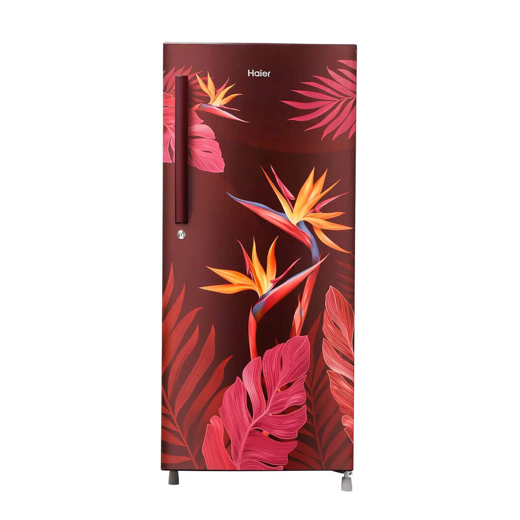 Haier Single Door 220 Litres 3 Star Refrigerator HRD-2203CRC: Price ...