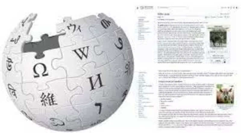 Russia not planning Wikipedia block for now, minister says