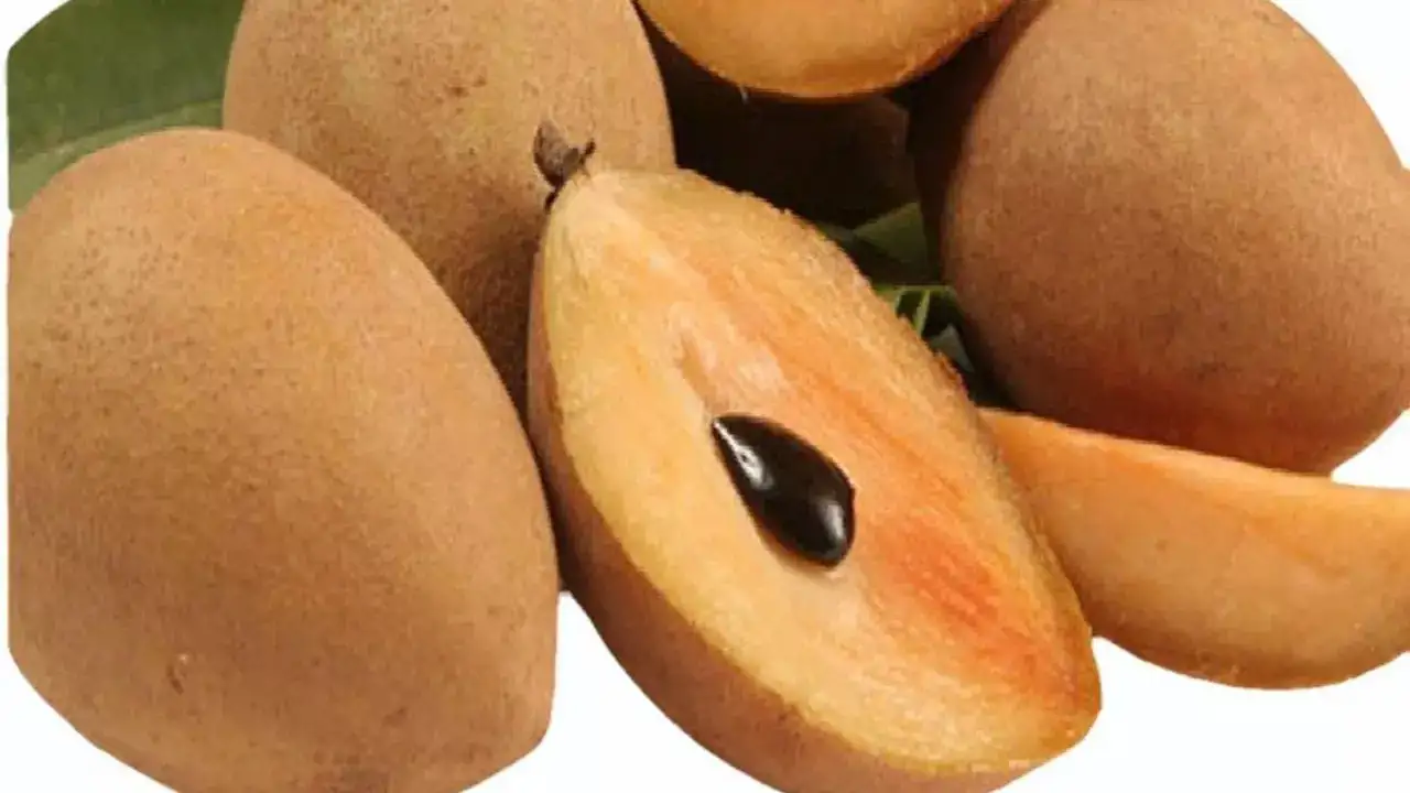 Chiku fruit store