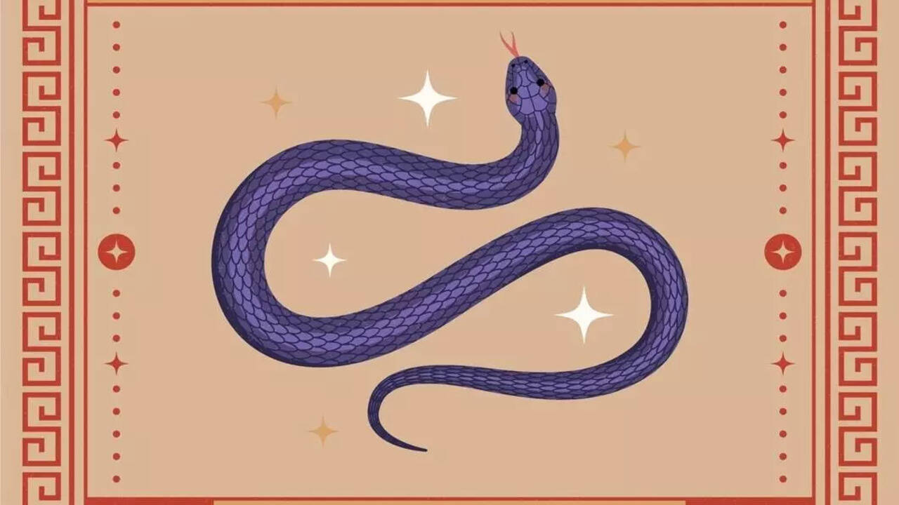 Earth snake chinese zodiac personality - Zodiacstock.com