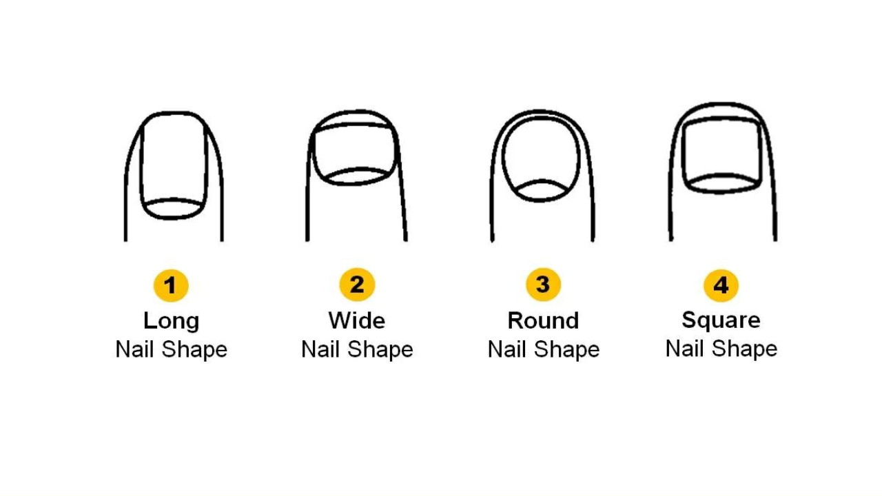 Diffe Types Of Nail Shapes - Infoupdate.org
