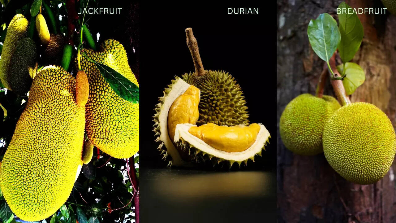 Durian Vs Jackfruit Elevate Your Baking With The Tropical Goodness